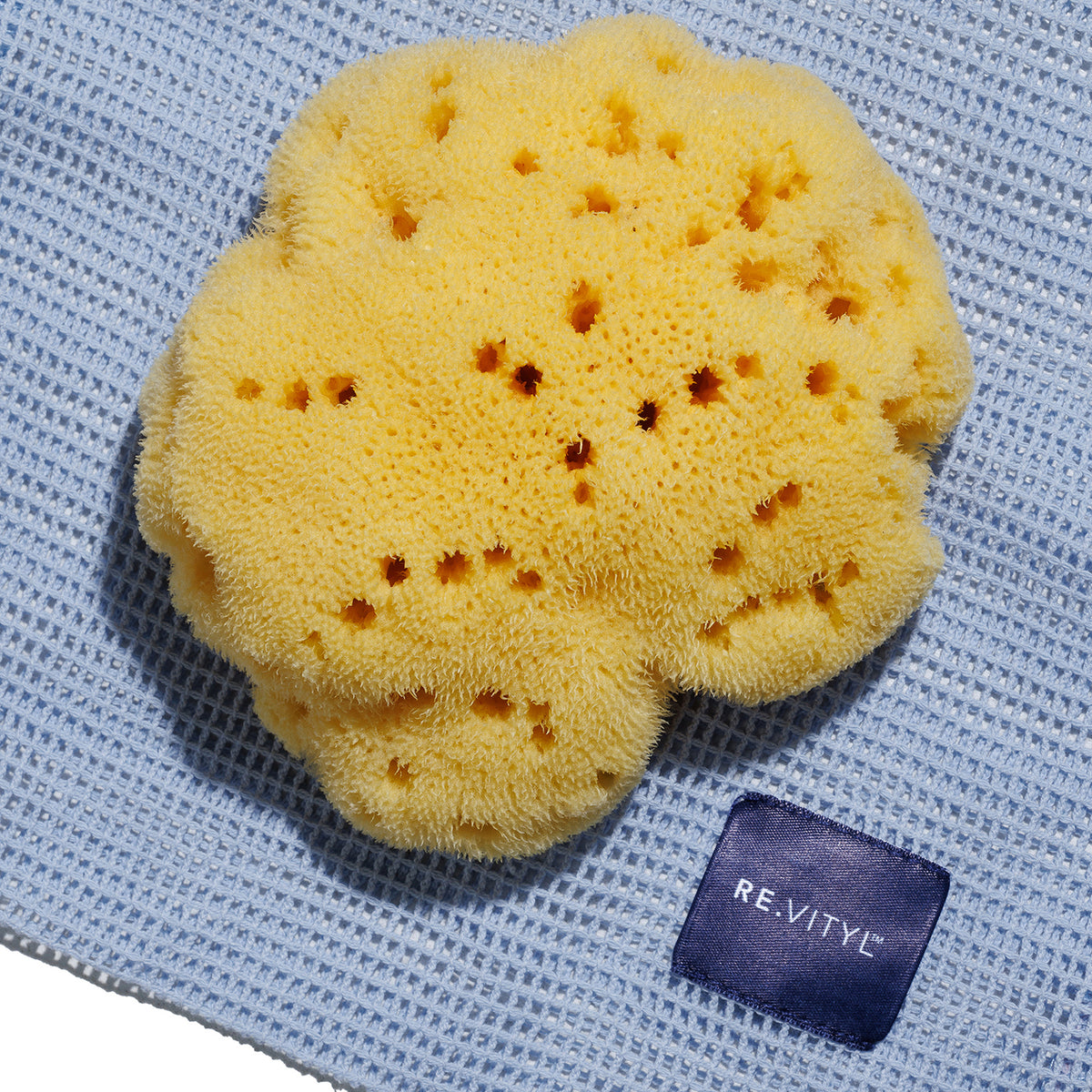 ORGANIC LARGE BODY SEA SPONGE | RE-VITYL